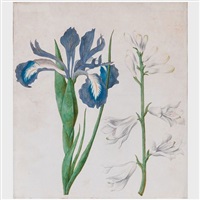 Carl Wilhelm de Hamilton | Artnet