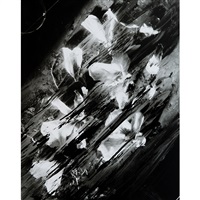 Mario Carrieri | Artnet