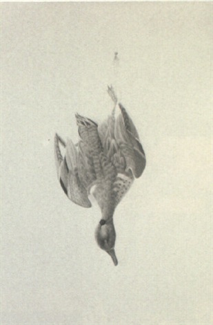 Nature mortegreen wing teal by George Louis Viavant on artnet