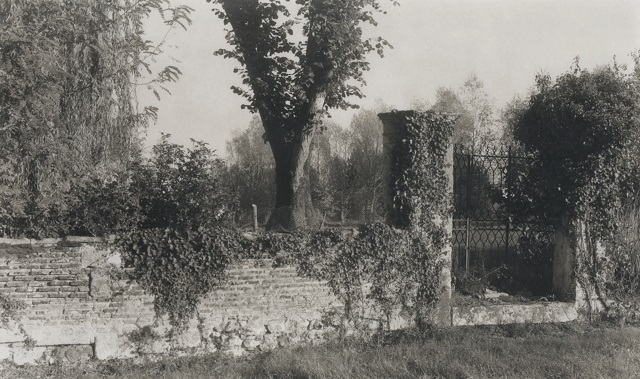 Selected Images by Jan Groover on artnet