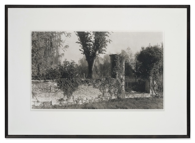 Selected Images by Jan Groover on artnet