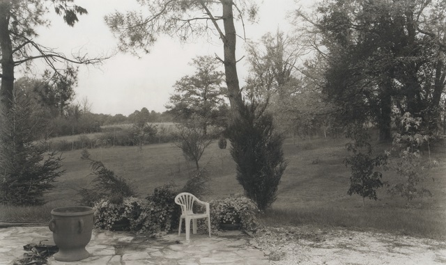 Selected Images by Jan Groover on artnet