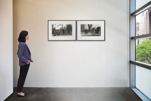 Selected Images by Jan Groover on artnet