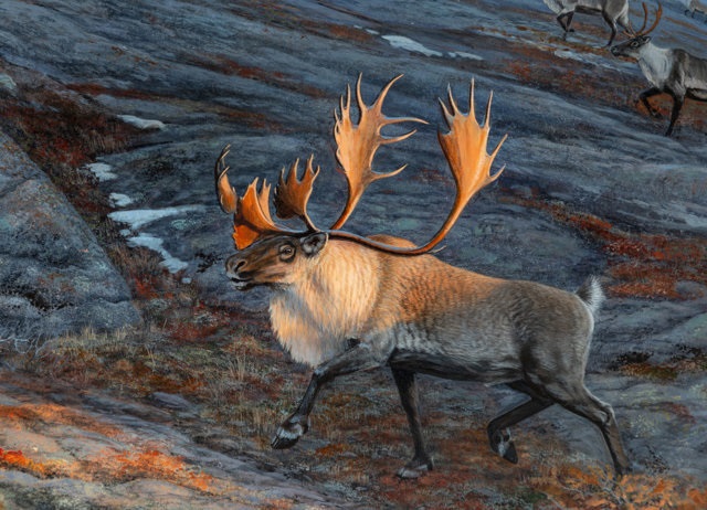 Migration Moon by Robert Mullen on artnet