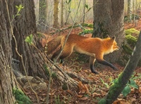 John Pitcher | Artnet