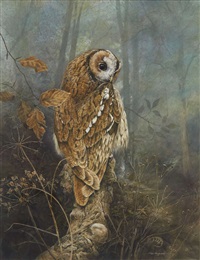 Tim Hayward | Artnet