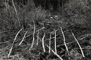 NINE STICKS IN NORTHERN MANITOBA by Richard Long on artnet