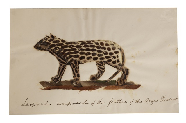 PHOTOGENIC DRAWINGS OF FERNS c.1847 - 1852 by William Henry Fox Talbot ...