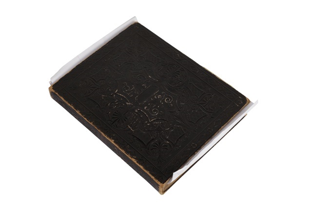 PHOTOGENIC DRAWINGS OF FERNS c.1847 - 1852 by William Henry Fox Talbot ...