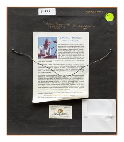 Eastern Timber Wolf by John Pitcher on artnet