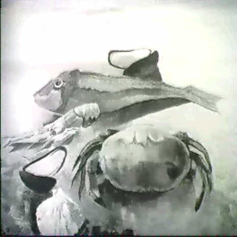 STILLEBEN MIT MEERESTIEREN by Edith van Leckwyck-Campendonck on artnet