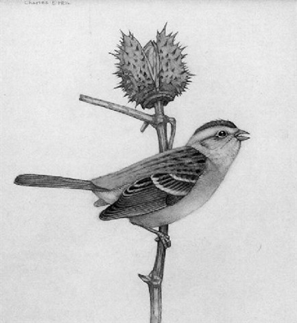 Sparrow by Charles Emile Heil on artnet
