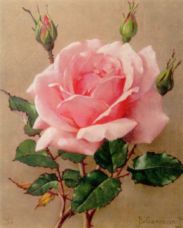 A pink rose by Jan Voerman Jr. on artnet