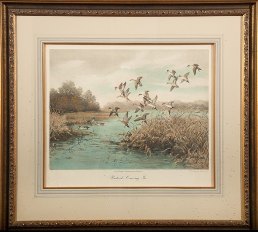 Pintails Coming In by Roland Clark on artnet