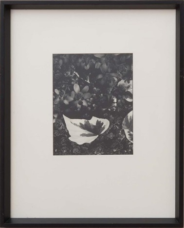 THE GARDEN, ORGEVAL, FROM PORTFOLIO TWO by Paul Strand on artnet