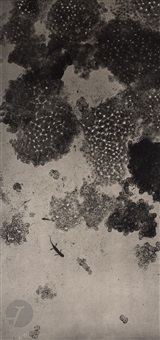 Susan Derges | Artnet