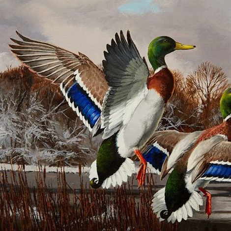 Seasons End Mallards by David A. Maass on artnet