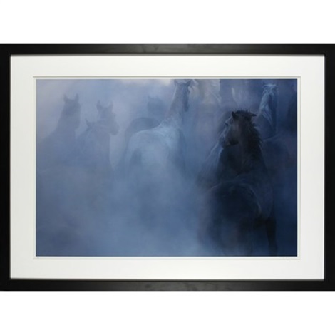 Mustangs Cold by Timothy Flach on artnet