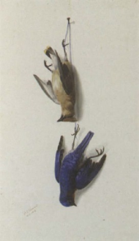 Nature morte Cedarwax wing and eastern bluebird by George Louis Viavant ...
