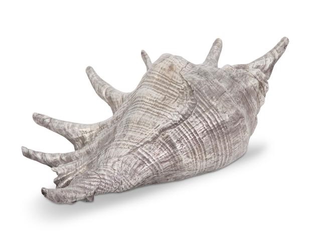 FEDERICO BUCCELLATI STERLING SILVER CLAD SPIDER CONCH SHELL by Federico ...