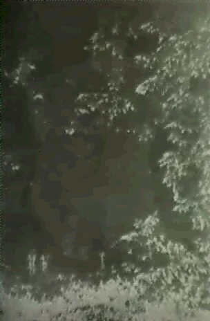 NOCTURNE-FAIRYLAND by Rupert Lovejoy on artnet