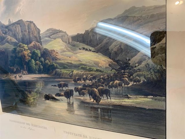 Herd of Bison and Elk on the Upper Missouri by Karl Bodmer on artnet