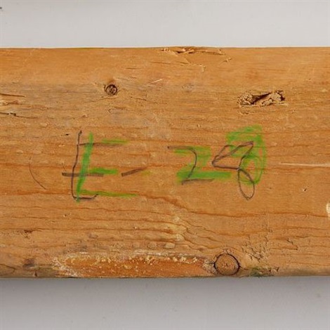 Silviculture II by David Lefkowitz on artnet