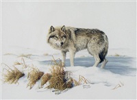 Marla Wilson | Artnet