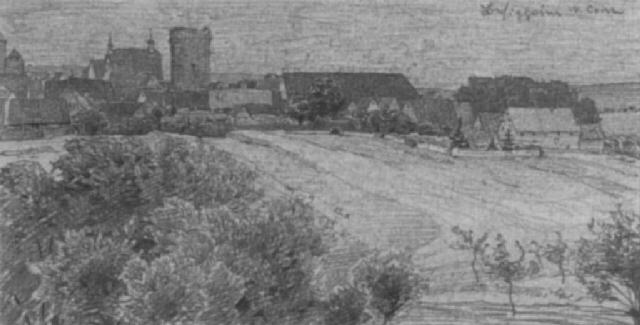 Ansicht über Felder auf Besigheim by Walter Conz on artnet