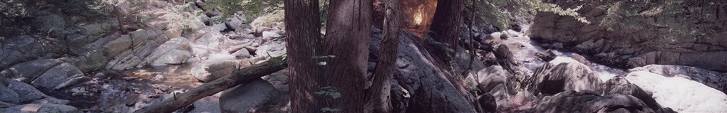 Arcadian Landscape The Pictorial Tradition For Asher B. Durand, 1998 by ...