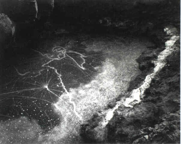 POINT LOBOS TIDE POOL by Wynn Bullock on artnet