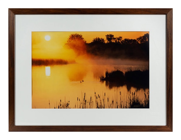 Prairie Vision Images from a Sea of Grass 2002 Twenty Color Photographs ...