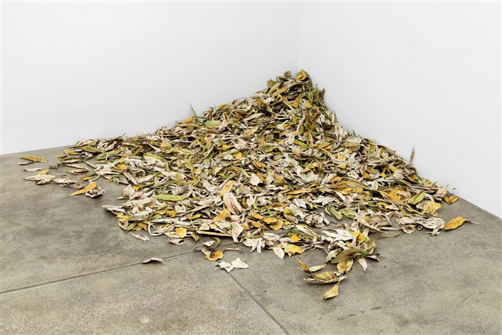 Gutter Leaves, Pasadena by Pae White on artnet