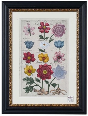 Five Emanuel Sweert Botanical Engravings by Emanuel Sweert on artnet