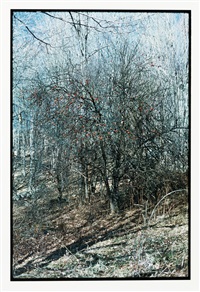 Zoe Leonard | Artnet