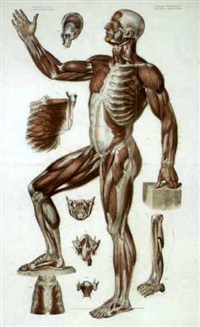 Nicolas Henri Jacob | Artnet