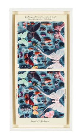 The Insects No. 13 from Mountains of Kong by Jim Naughten on artnet