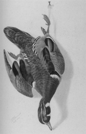 Nature morte of a wood duck by George Louis Viavant on artnet
