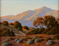 David Chapple | Artnet