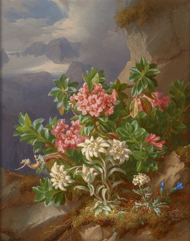 Edelweiss et fleurs de montagne devant un glacier by Andreas Lach on artnet