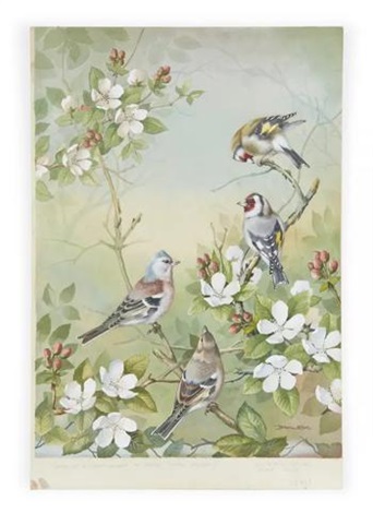 Goldfinches and Chaffinches in Spring Apple Blossom by Basil Ede on artnet
