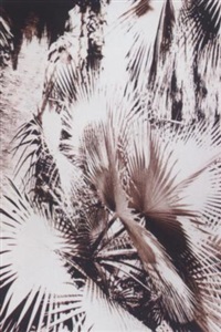 Guido Orsini | Artnet