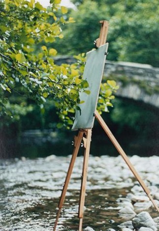 TREE DRAWING - ALDER ON EASEL 2 by Tim Knowles on artnet