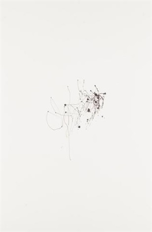 TREE DRAWING - ALDER ON EASEL 2 by Tim Knowles on artnet