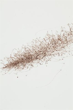 TREE DRAWING - SCOTS PINE ON EASEL by Tim Knowles on artnet