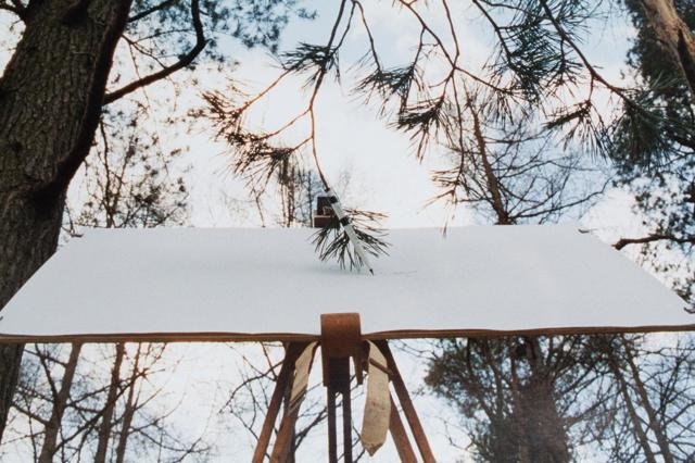 TREE DRAWING - SCOTS PINE ON EASEL by Tim Knowles on artnet