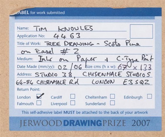 TREE DRAWING - SCOTS PINE ON EASEL by Tim Knowles on artnet