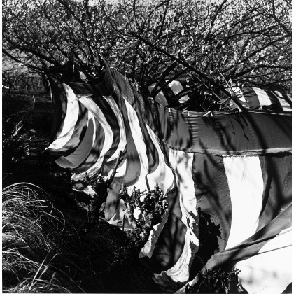 Marquee by Issei Suda on artnet