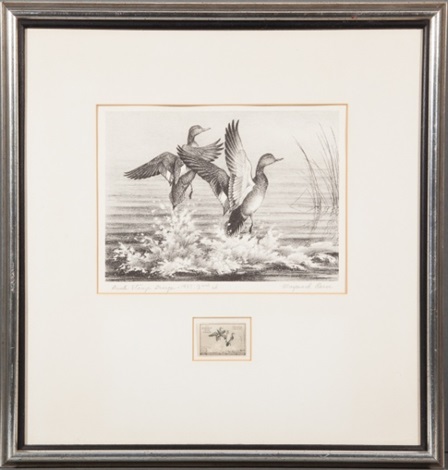 Federal Duck Stamp Prints and Stamps 8 works by Maynard Reece on artnet