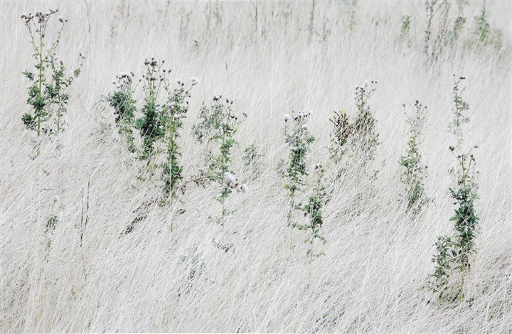 Tidsler by Per Bak Jensen on artnet